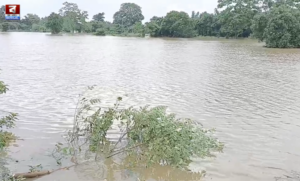 Kangsabati Flood Alert: Weak Embankment Sparks Panic
